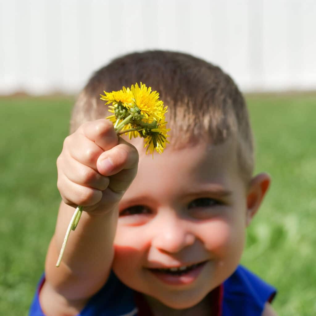 Ways to Give and Support Our Programs | Waypoint